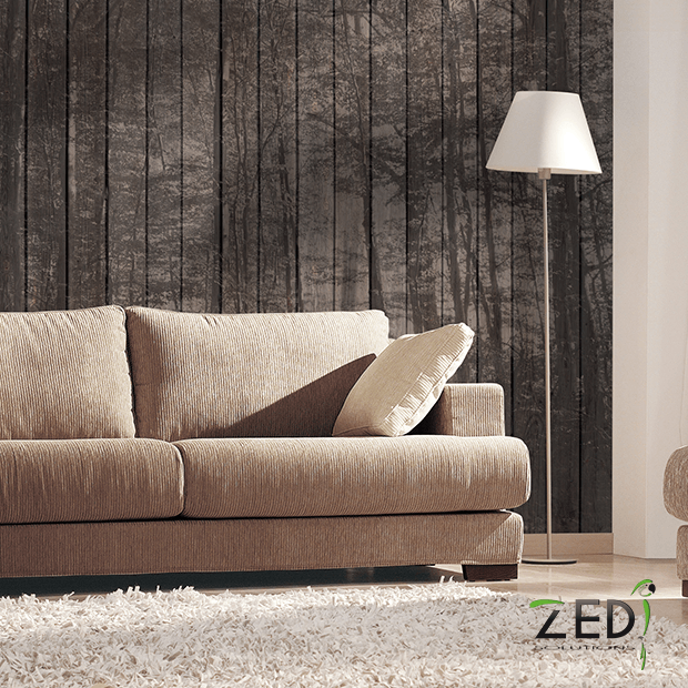 Zed Solutions | Home