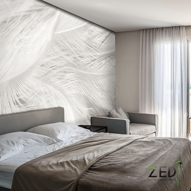 Zed Solutions | Home